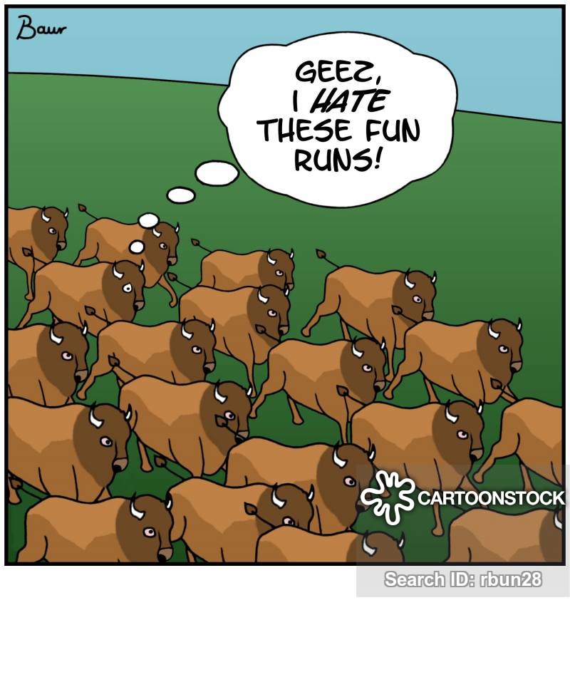 Bison Cartoons and Comics - funny pictures from CartoonStock