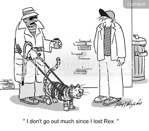 Seeing Eye Cat Cartoons and Comics - funny pictures from CartoonStock