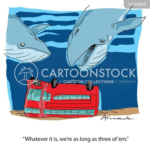 Double Decker Cartoons and Comics - funny pictures from CartoonStock