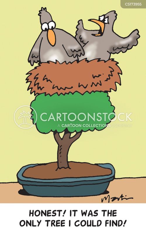 Bonsai Tree Cartoons and Comics - funny pictures from CartoonStock