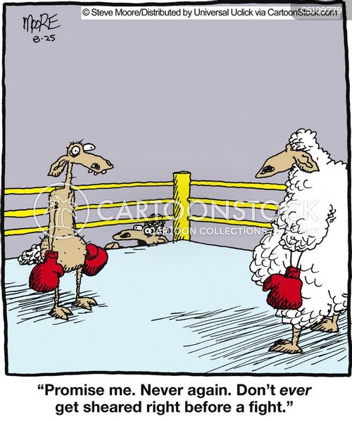 Sheared Cartoons and Comics - funny pictures from CartoonStock