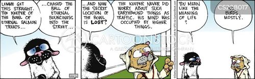 Cat Treats Cartoons and Comics - funny pictures from CartoonStock