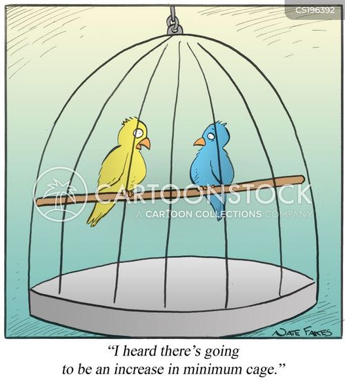 Caged Bird Cartoons and Comics - funny pictures from CartoonStock