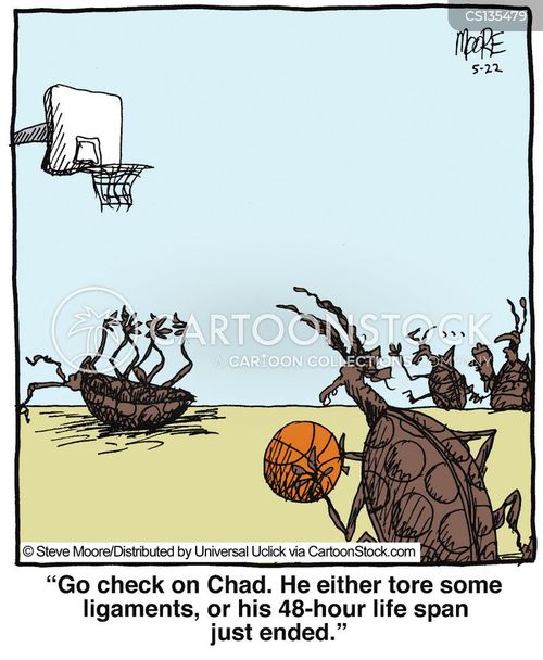 Chad Cartoons and Comics - funny pictures from CartoonStock