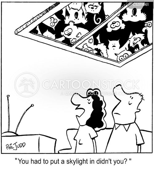 Skylight Cartoons and Comics - funny pictures from CartoonStock