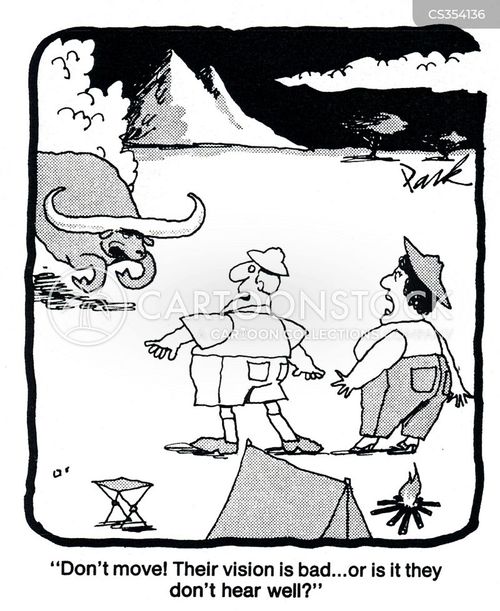 Bull Charge Cartoons and Comics - funny pictures from CartoonStock