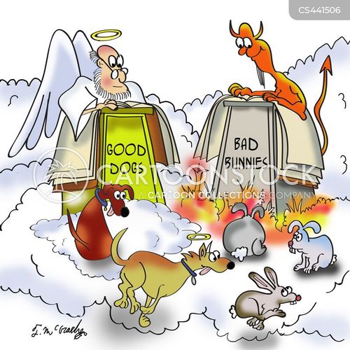 Pet Heaven Cartoons and Comics - funny pictures from CartoonStock