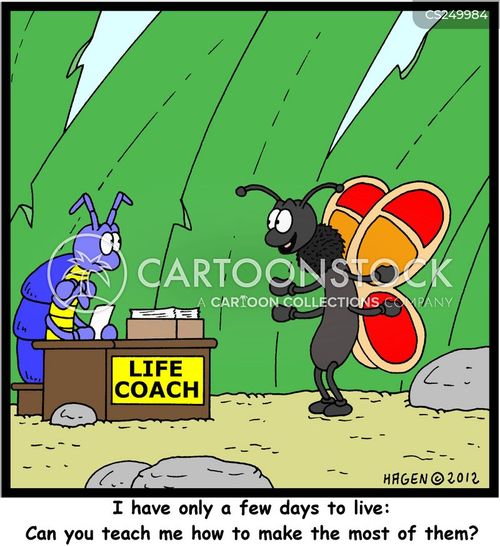 Terminally Ill Cartoons and Comics - funny pictures from CartoonStock