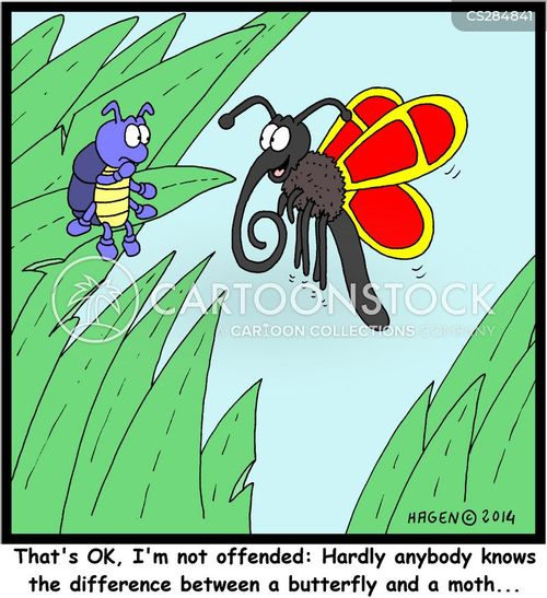 Entomology Humor
