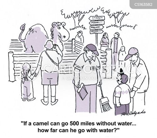 Survived Cartoons and Comics - funny pictures from CartoonStock