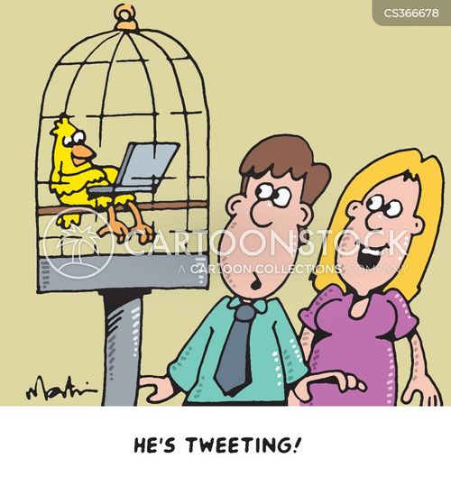 Bird Tweet Cartoons and Comics - funny pictures from CartoonStock