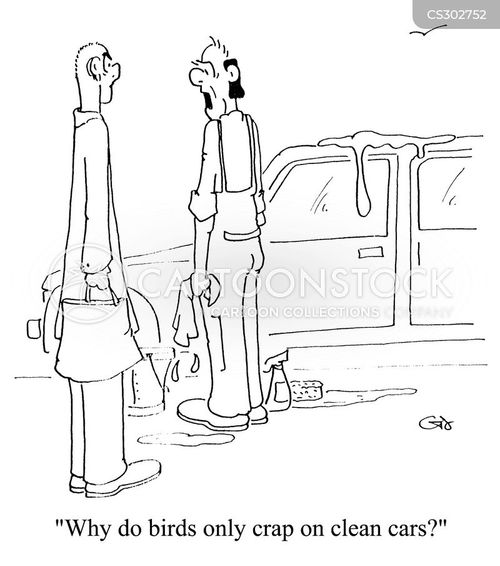 Bird Shit Cartoons and Comics - funny pictures from CartoonStock