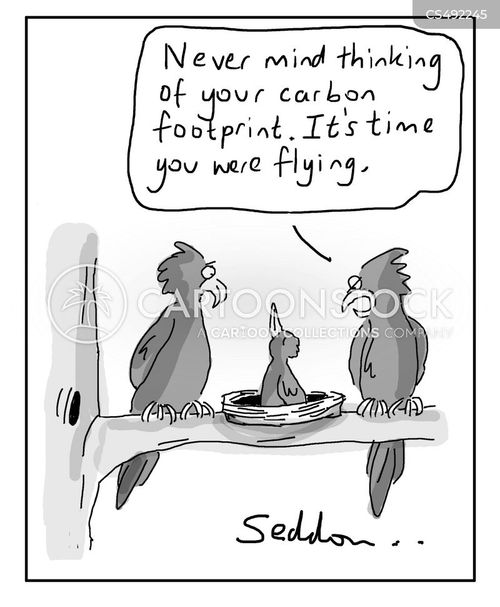 First Flight Cartoons and Comics - funny pictures from CartoonStock