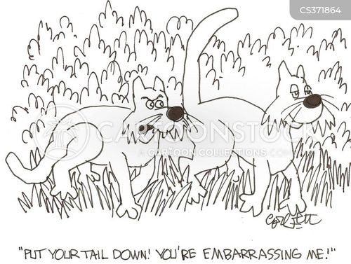 Feline Company Cartoons and Comics - funny pictures from CartoonStock
