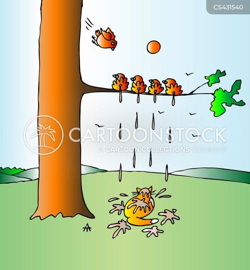 Bird Poop Cartoons and Comics - funny pictures from CartoonStock