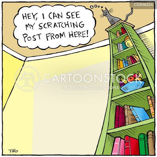 Cat Scratching Posts Cartoons and Comics - funny pictures from CartoonStock