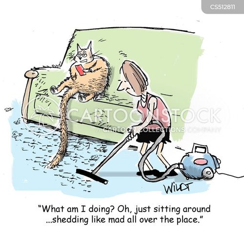 Cat Hair Cartoons and Comics - funny pictures from CartoonStock