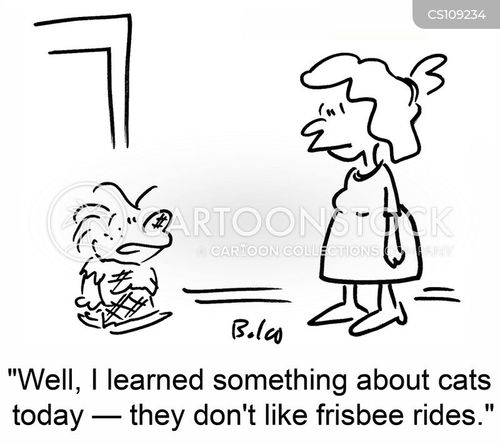 Cat Attack Cartoons and Comics - funny pictures from CartoonStock