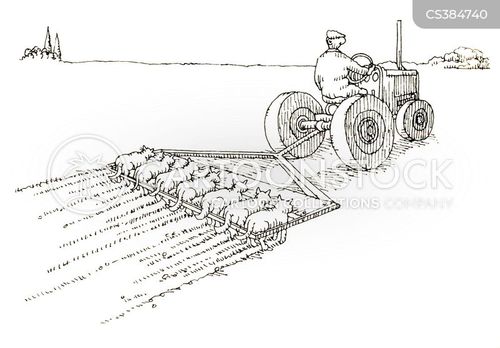 Tilling Cartoons and Comics - funny pictures from CartoonStock