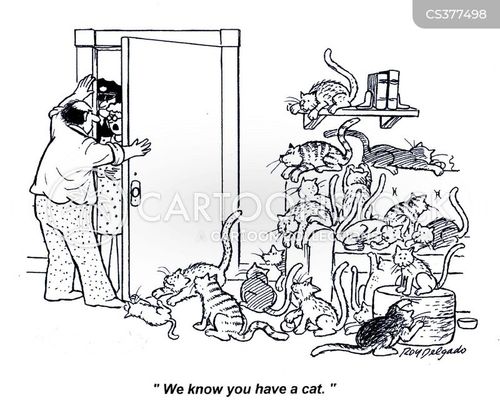 Cat Poo Cartoons and Comics - funny pictures from CartoonStock