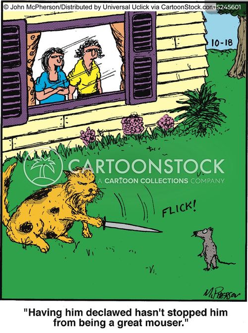 Sword Fight Cartoons and Comics - funny pictures from CartoonStock