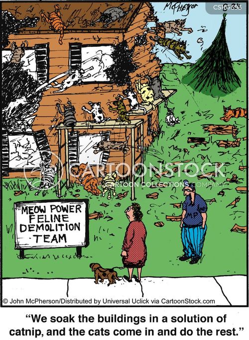Catnip Cartoons and Comics - funny pictures from CartoonStock