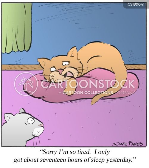 Catnapped Cartoons and Comics - funny pictures from CartoonStock
