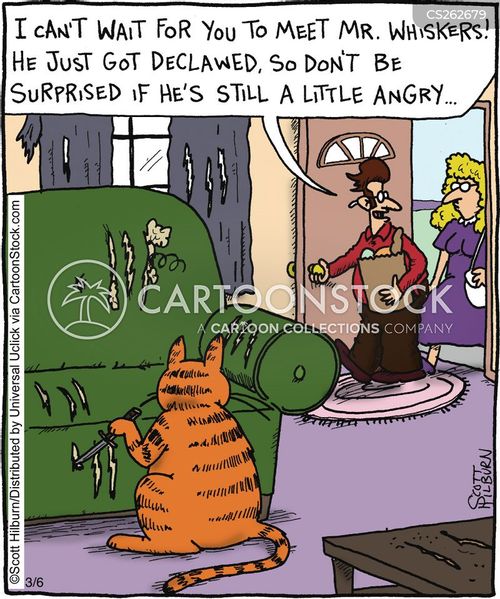 Declawed Cartoons and Comics - funny pictures from CartoonStock