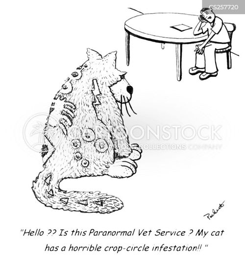 Cat Circles Cartoons and Comics - funny pictures from CartoonStock