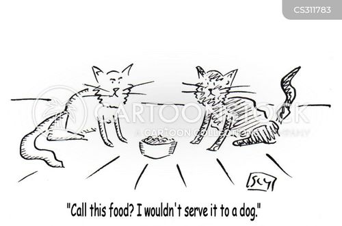 Cat Food Trust Issues Cartoons and Comics - funny pictures from ...