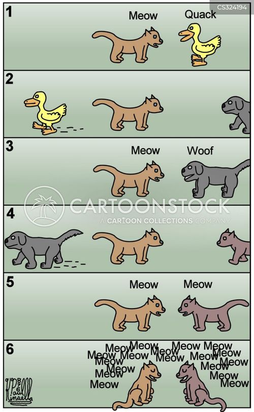 Dog And Duck Cartoons and Comics - funny pictures from CartoonStock