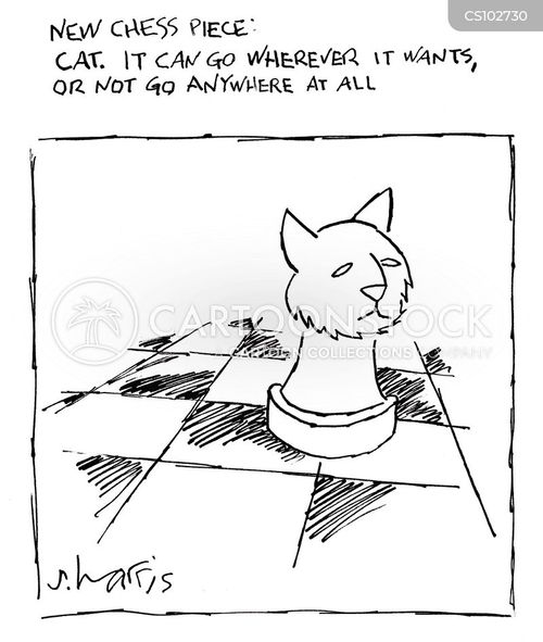Chess Rocks Cartoons and Comics - funny pictures from CartoonStock