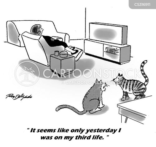 Aging Cats Cartoons and Comics - funny pictures from CartoonStock