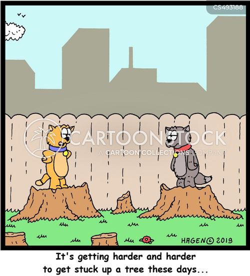 Cartoon Of Animals Told To Climb A Tree