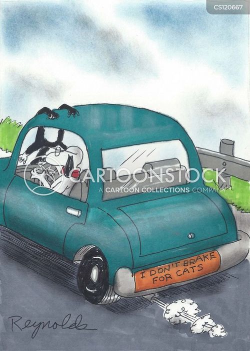 Braking Cartoons and Comics - funny pictures from CartoonStock