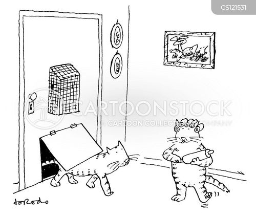 Cat Flap Cartoons and Comics - funny pictures from CartoonStock