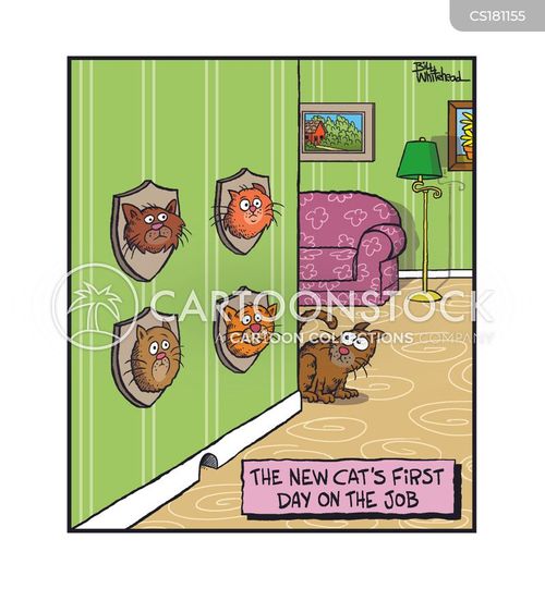 Working Cat Cartoons and Comics - funny pictures from CartoonStock