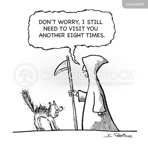 Funny Scared Death Amazon.com: Scared Halloween Pun Half To Death