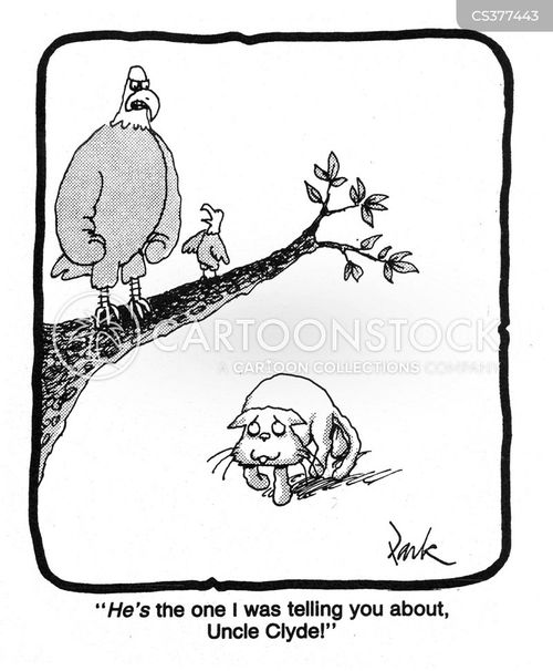 Chasing Birds Cartoons and Comics - funny pictures from CartoonStock