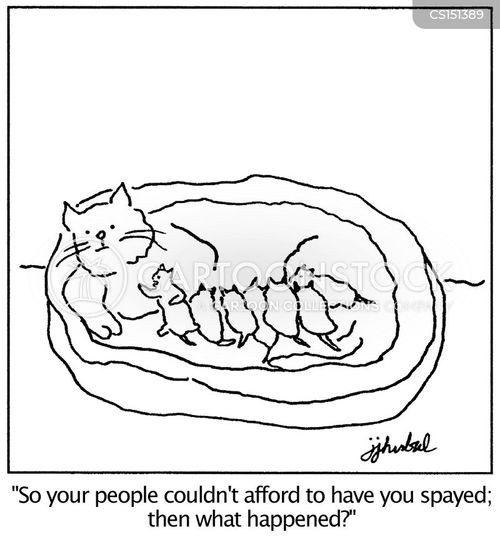 Spayes Cartoons and Comics - funny pictures from CartoonStock