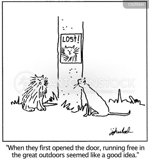 Lost Poster Cartoons and Comics - funny pictures from CartoonStock