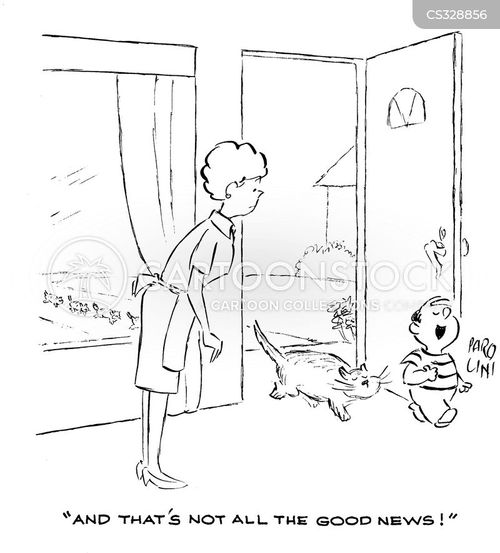 Lost Cat Cartoons and Comics - funny pictures from CartoonStock