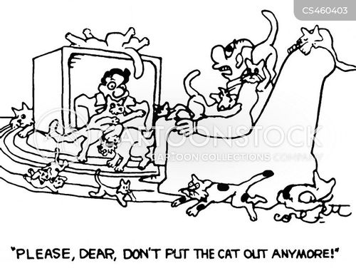 Litter Of Kittens Cartoons and Comics - funny pictures from CartoonStock