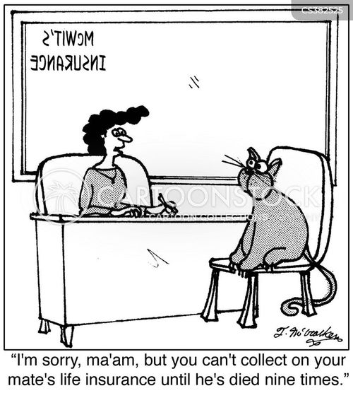 Pet Death Cartoons and Comics - funny pictures from CartoonStock