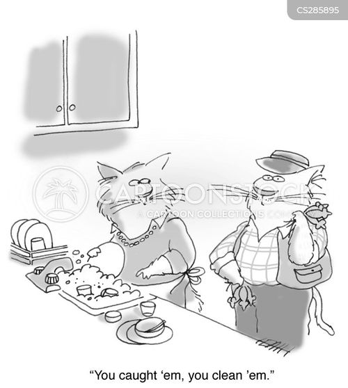 Cleaning Fish Cartoons and Comics - funny pictures from CartoonStock