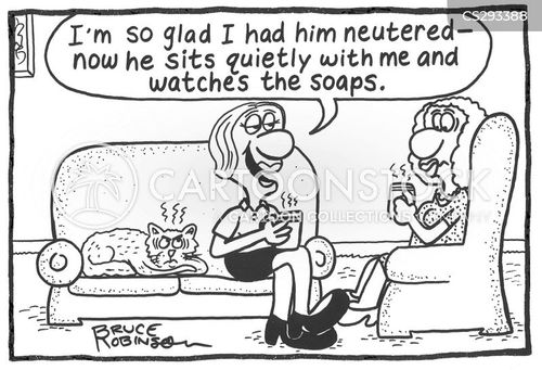 Cat Ladies Cartoons and Comics - funny pictures from CartoonStock