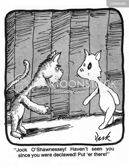 Jock Cartoons and Comics - funny pictures from CartoonStock