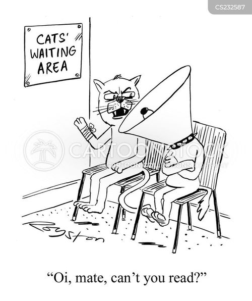 Dog Cone Cartoons and Comics - funny pictures from CartoonStock