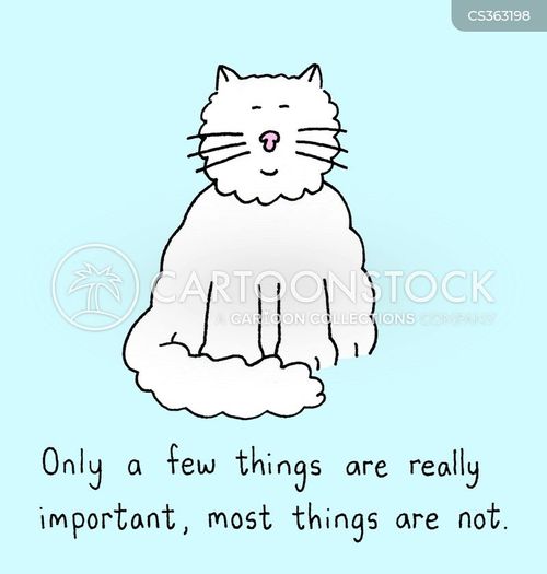 Important Things In Life Cartoons and Comics - funny pictures from ...