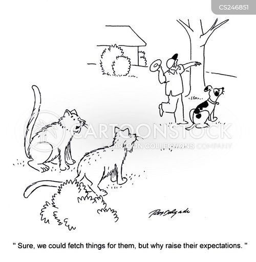 Unmet Expectations Cartoons and Comics - funny pictures from CartoonStock